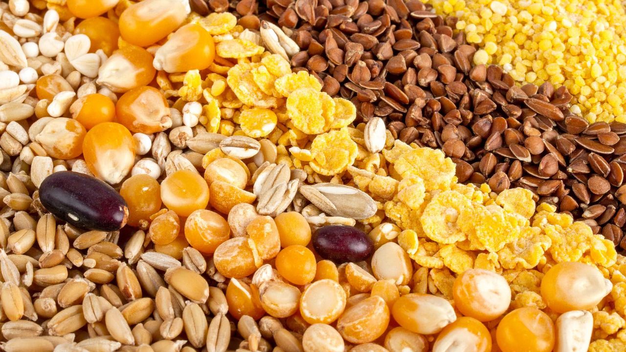 Complete vs. Incomplete Proteins – Why Millets and Pulses Make the ...